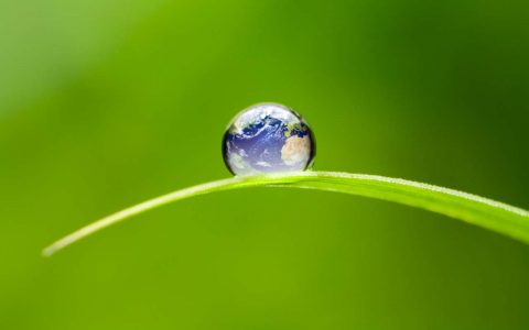 Sustainability - Extran